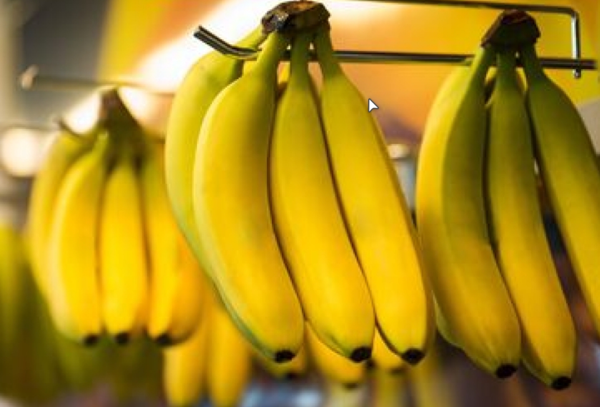Ultima generație care mai mănâncă banane: Fructul preferat din toată ...